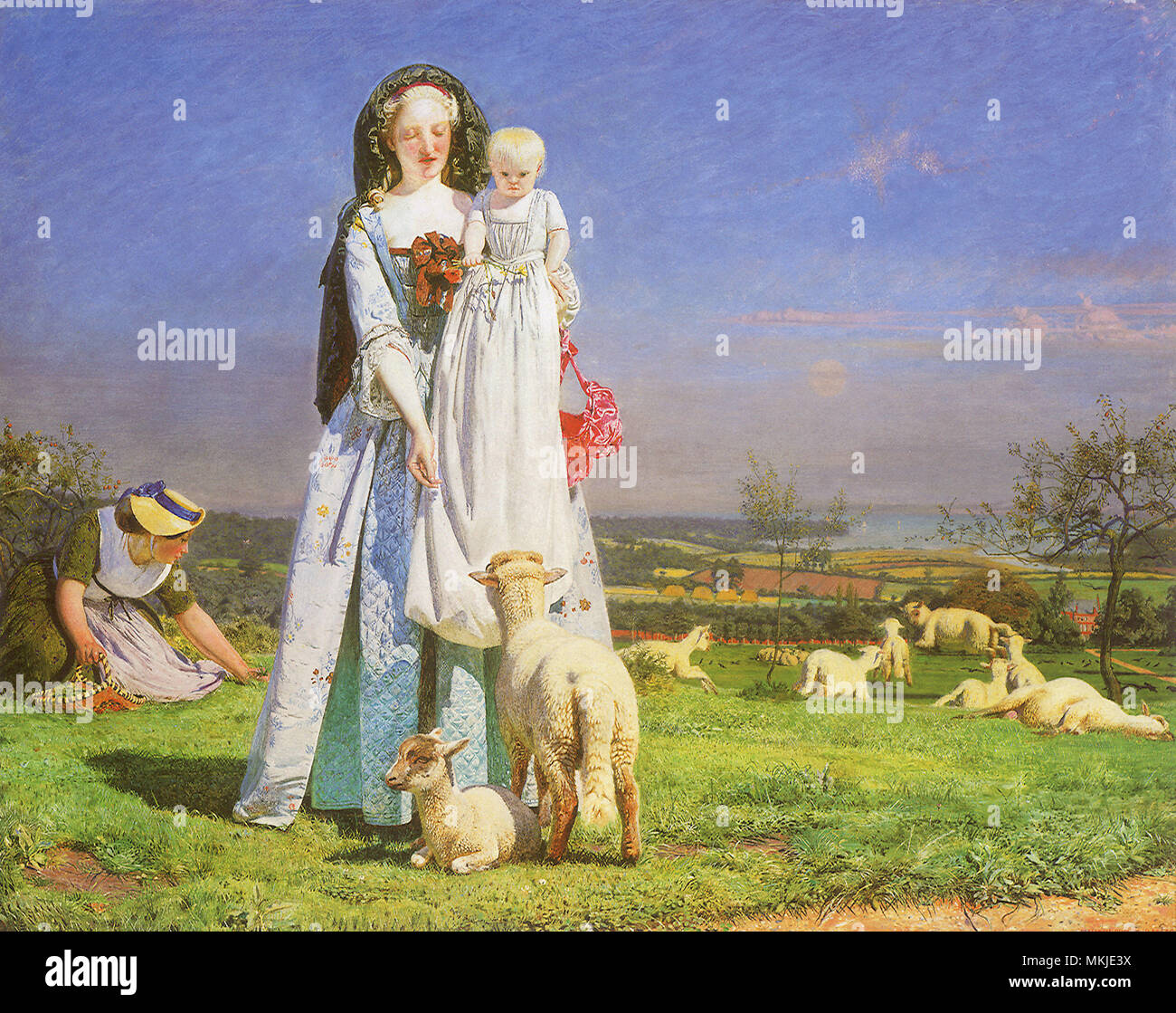 The pretty baa lambs hi-res stock photography and images - Alamy