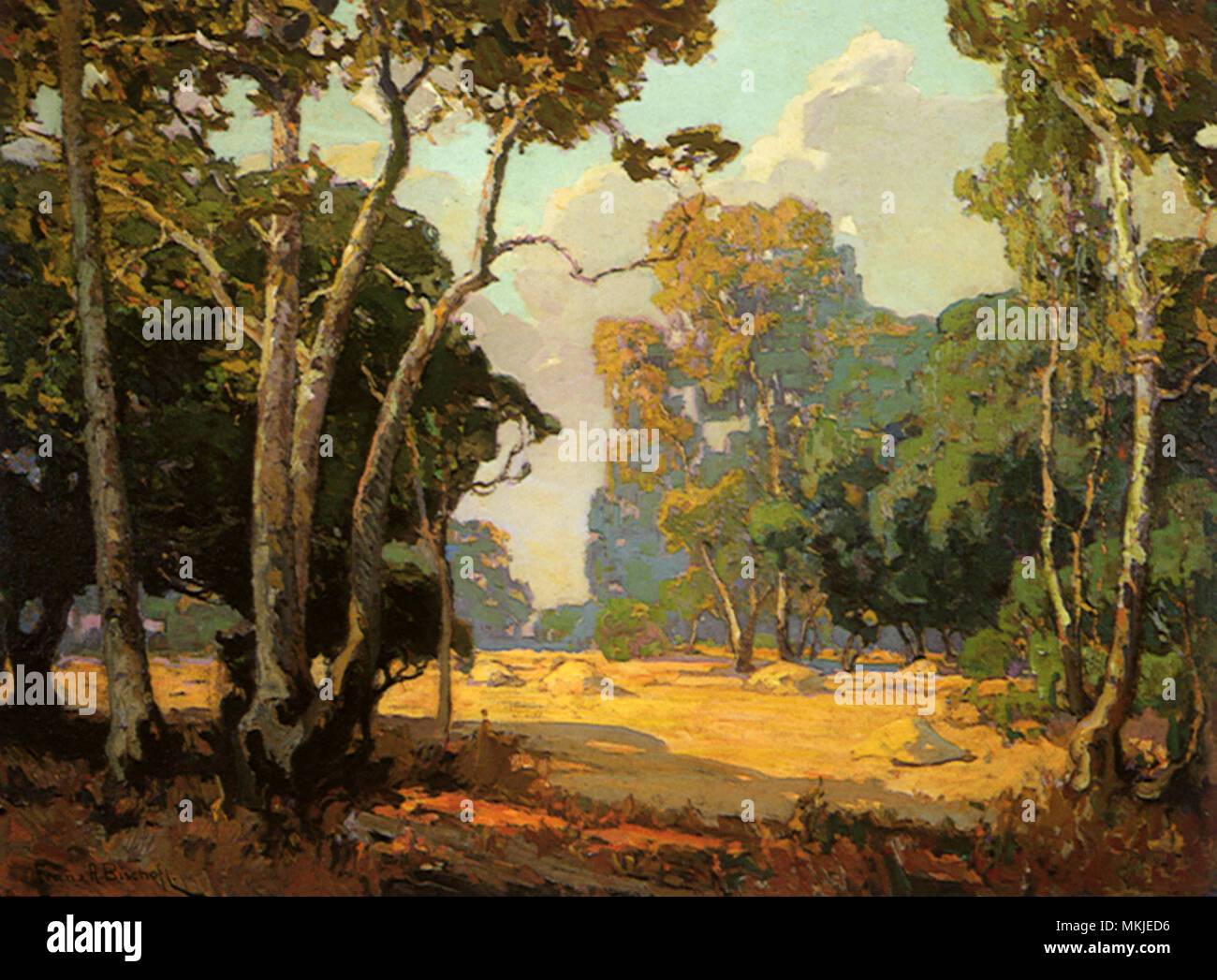 Line clearing hi-res stock photography and images - Alamy