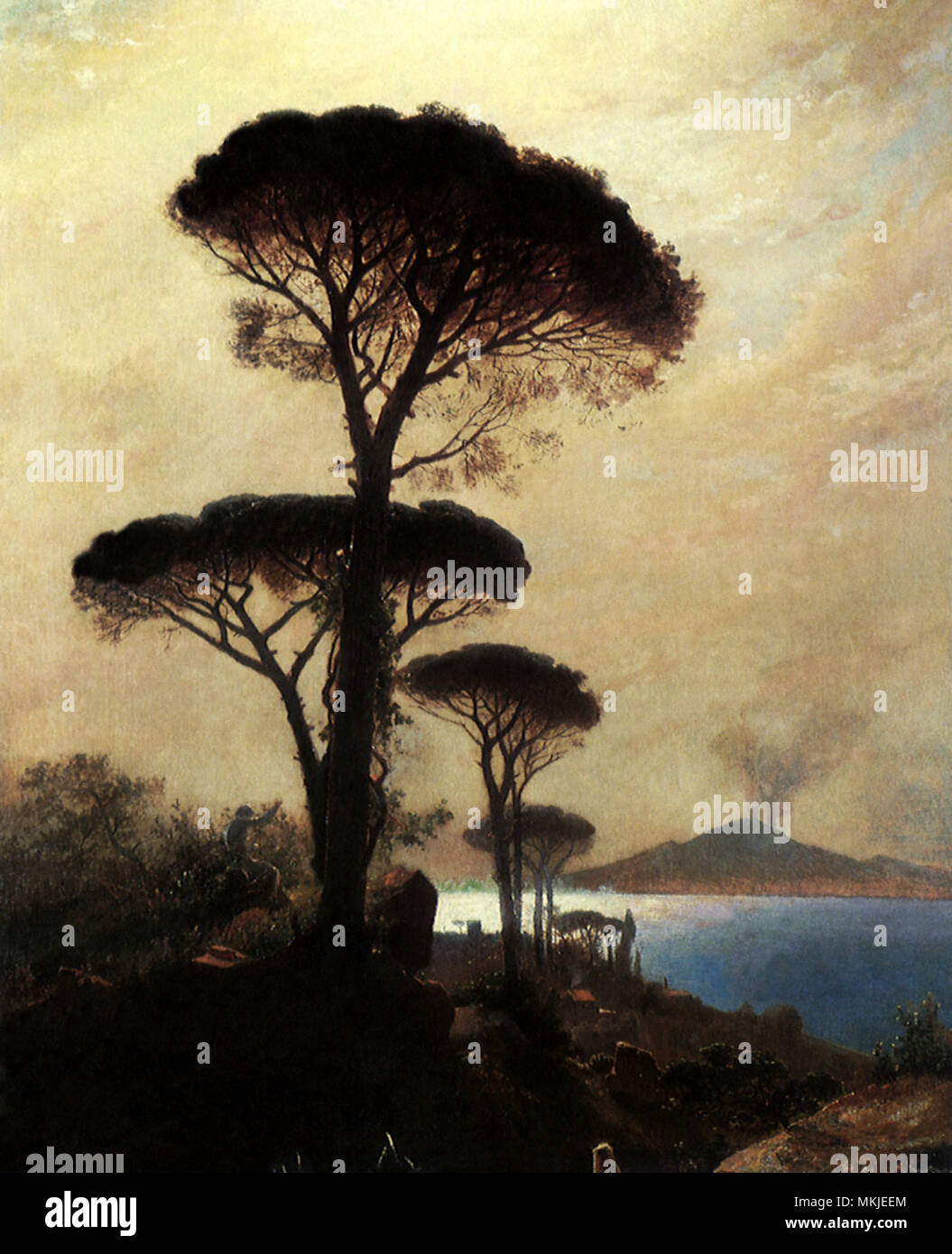 Trees by the Bay, Naples, Italy Stock Photo - Alamy