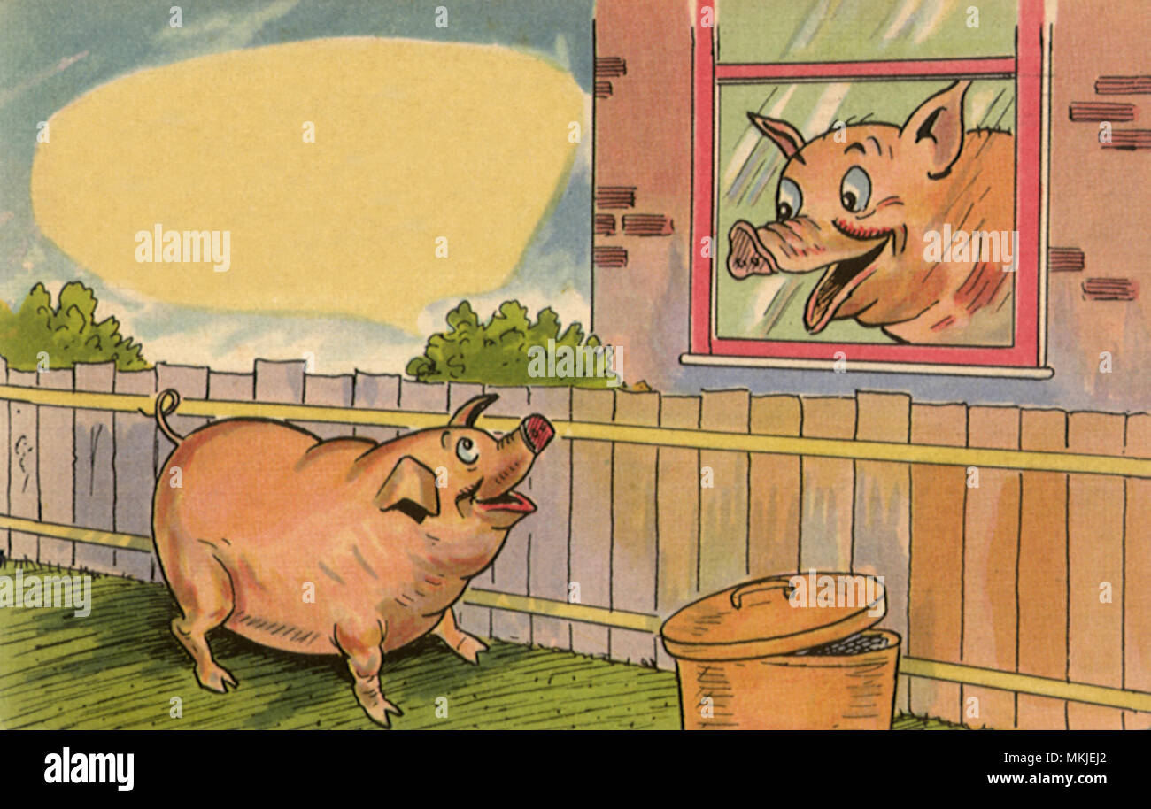 Pig at Window Stock Photo - Alamy