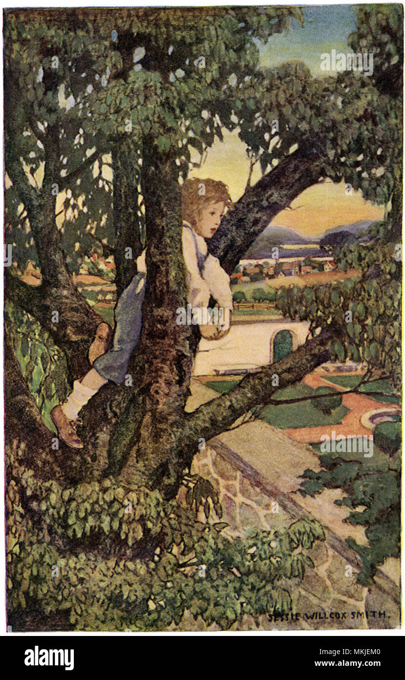 Boy in a Tree Stock Photo - Alamy