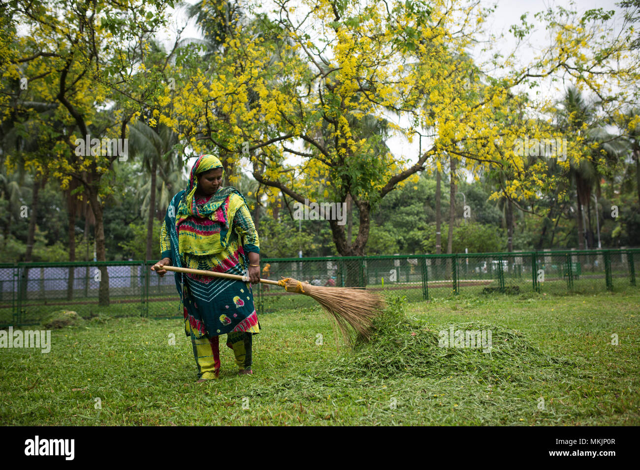 DHAKA, BANGLADESH - MAY 08 : City corporation worker clean park in ...