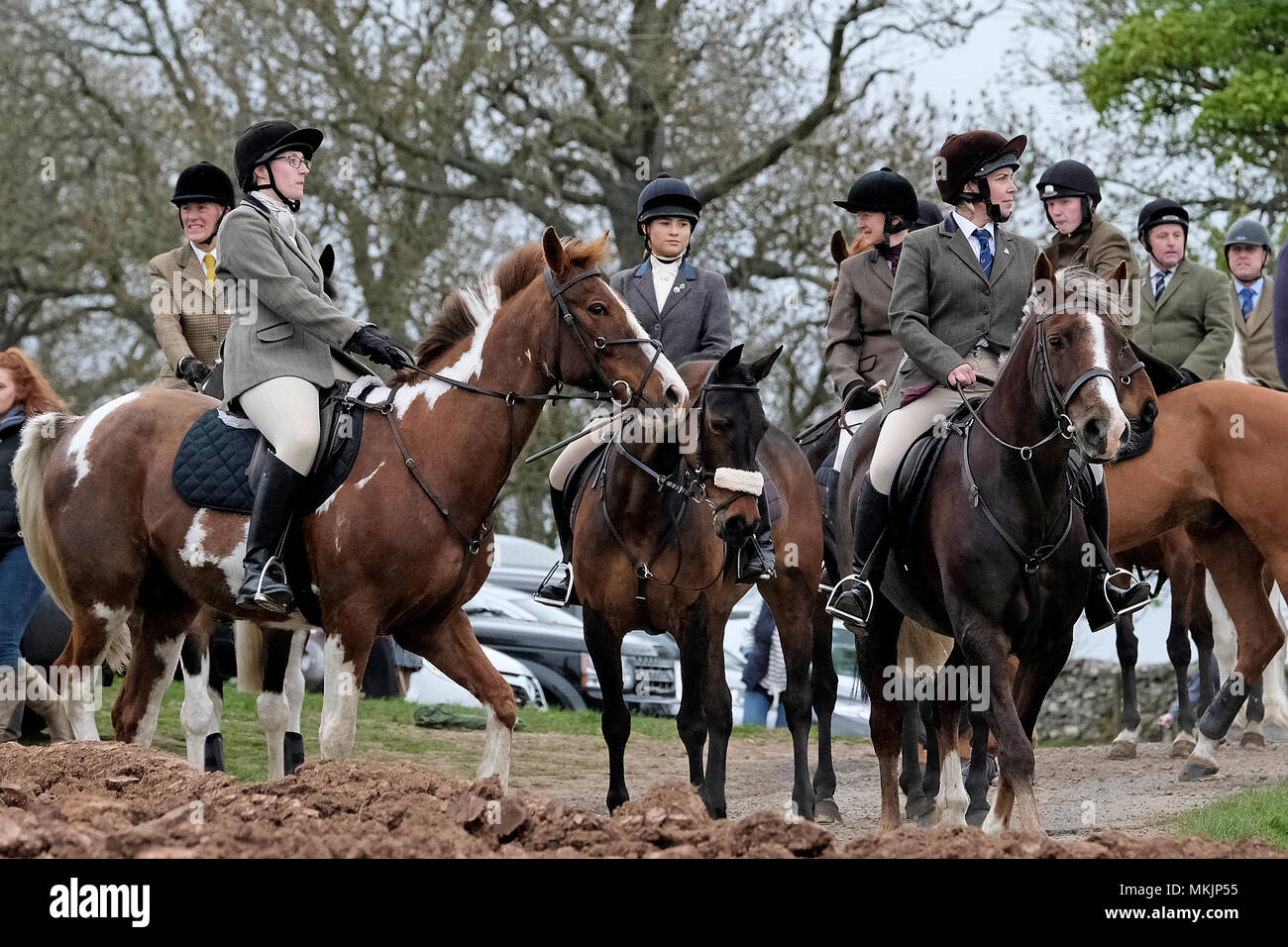 Common at forest borders hi-res stock photography and images - Alamy