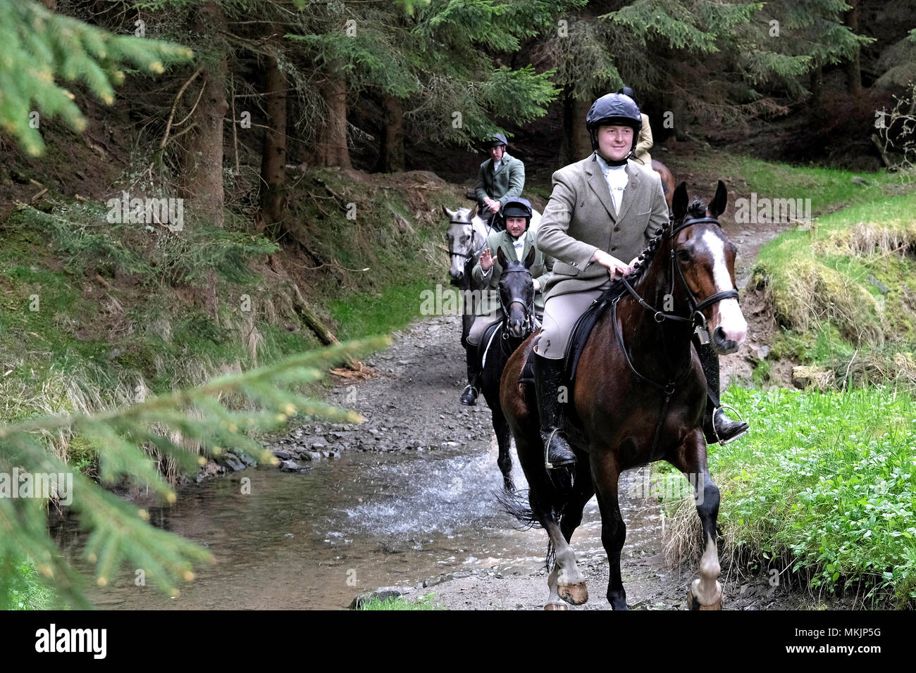 Acreknowe hi-res stock photography and images - Alamy