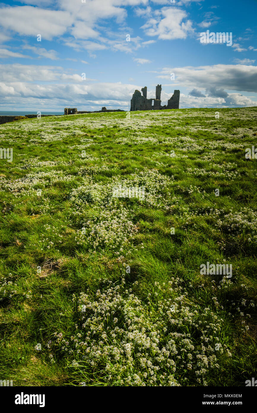 Dunstanburgh castle spring hi-res stock photography and images - Alamy