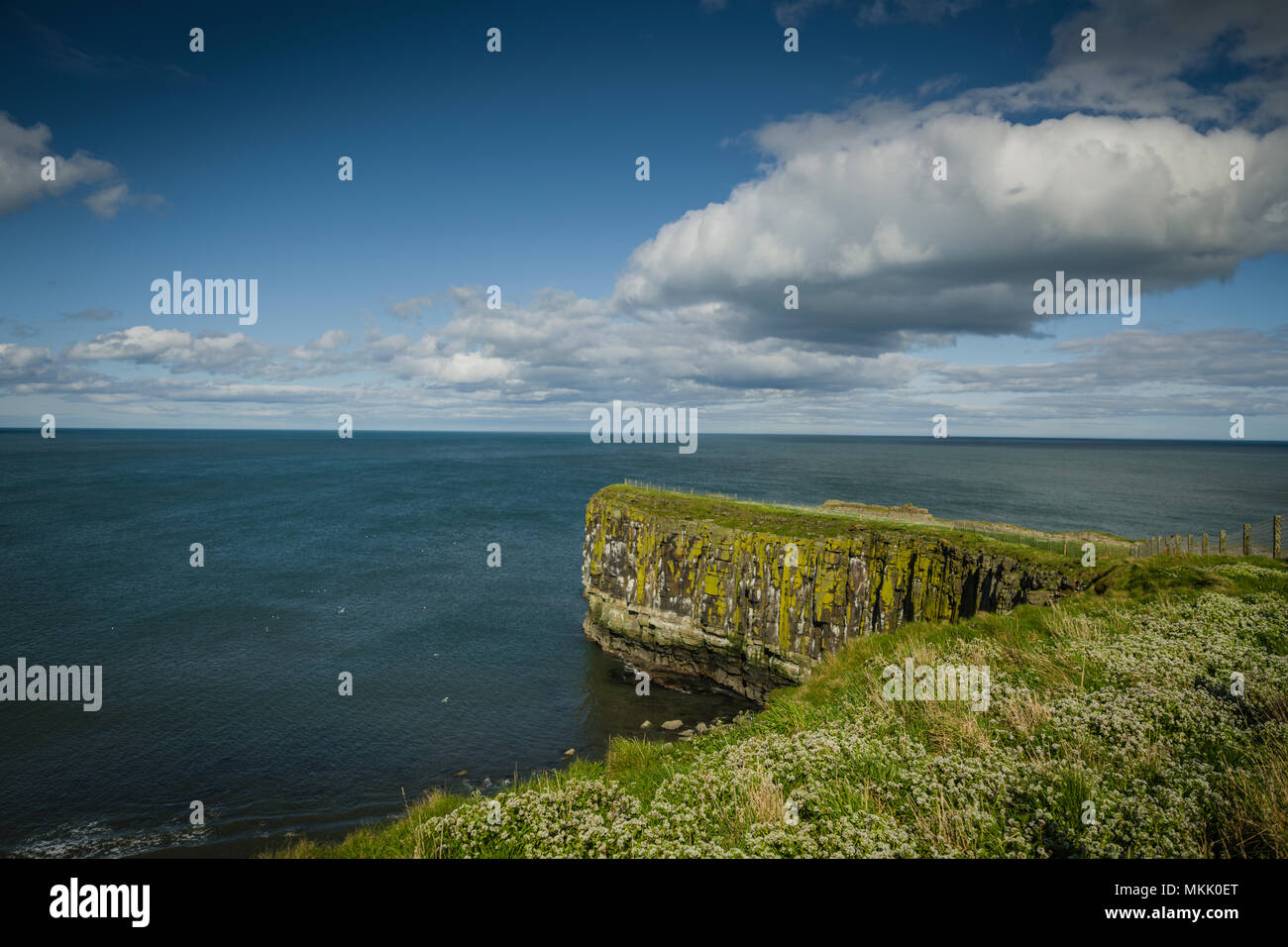 Sea cliffs at Dunstanburgh Castle, Northumberland, UK Stock Photo - Alamy