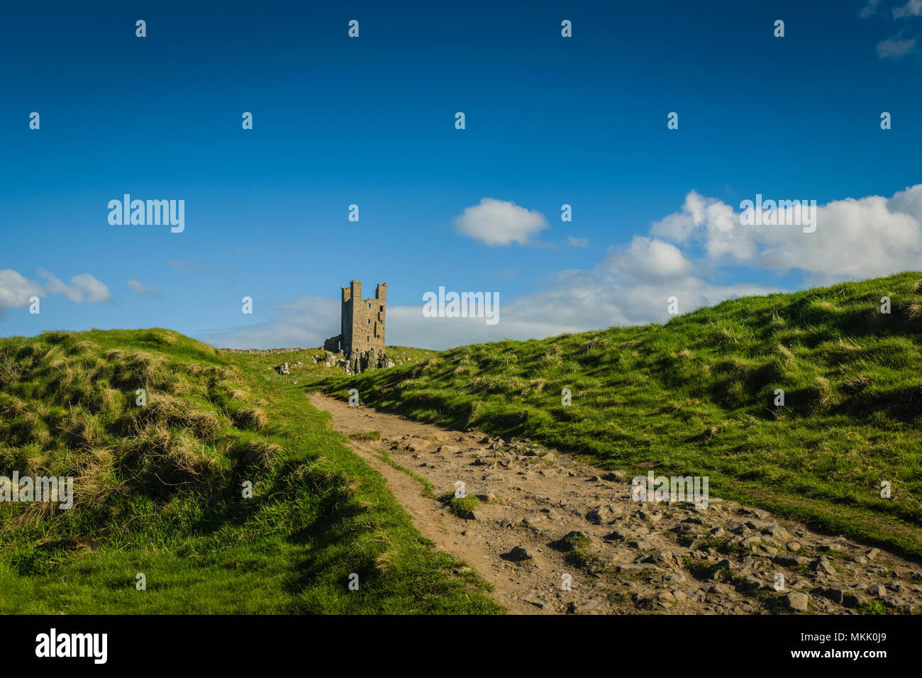 Lilburn tower hi-res stock photography and images - Alamy