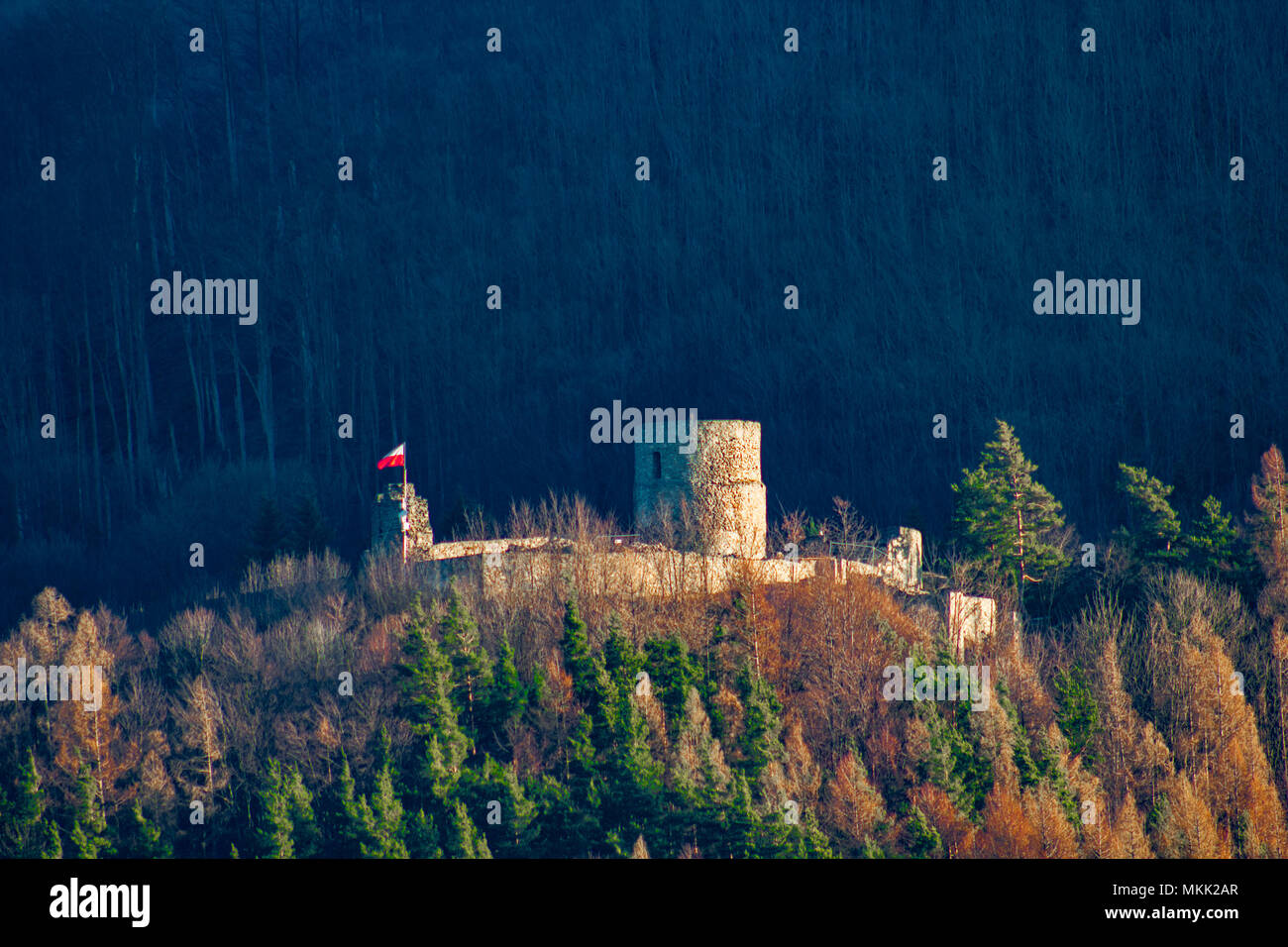Castle in Village Rytro, Poland Stock Photo - Alamy