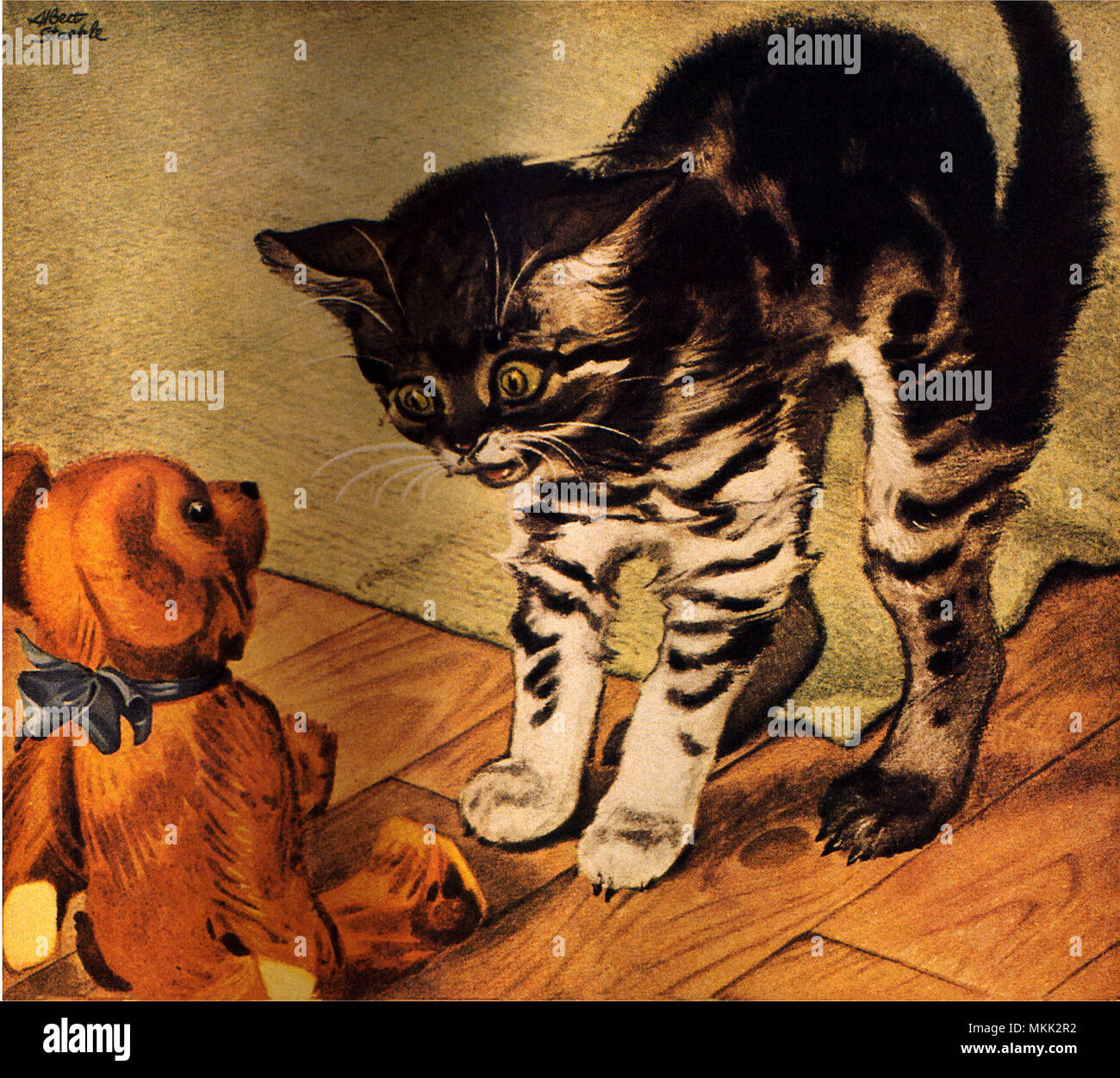 Frightened animal hi-res stock photography and images - Alamy