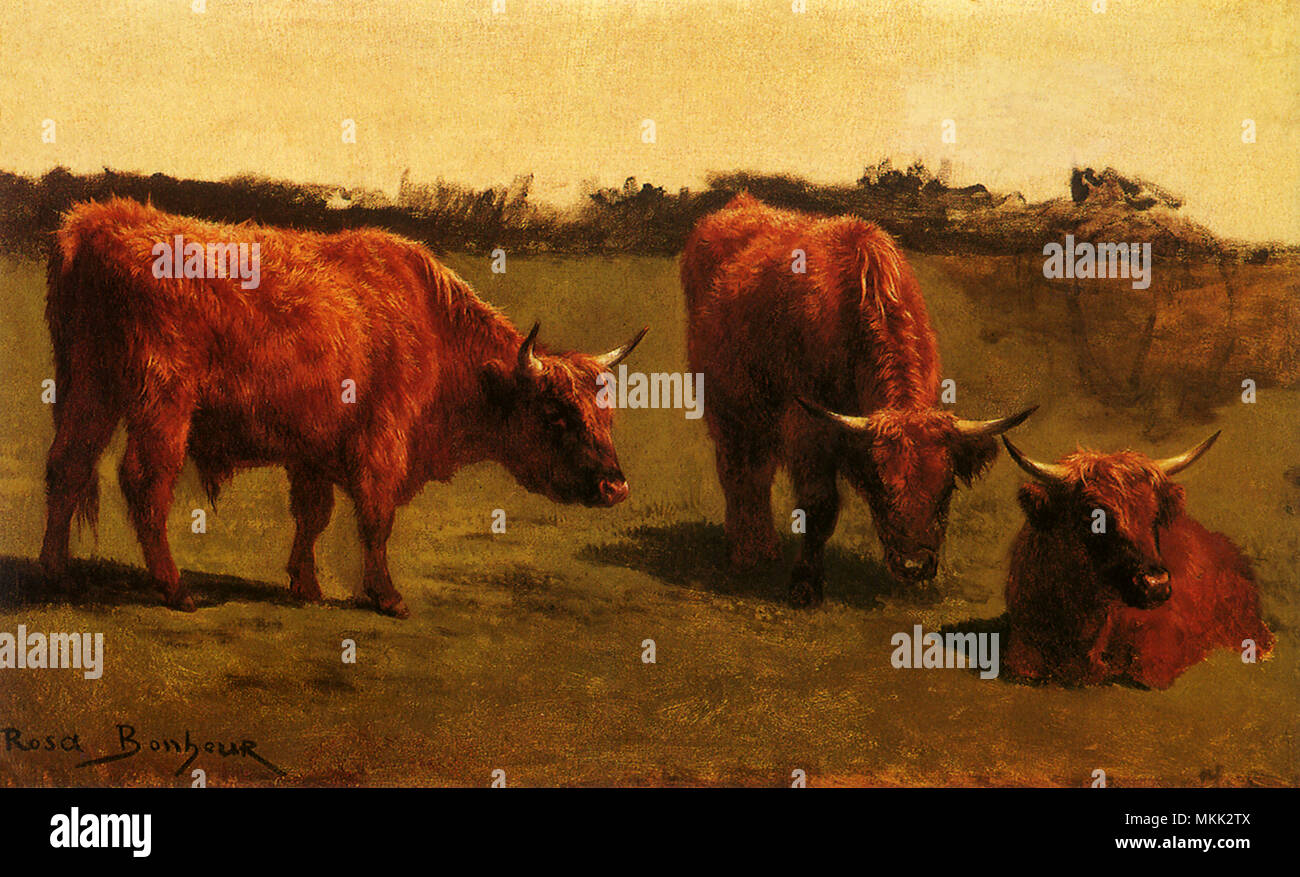 Russet red coats hi-res stock photography and images - Alamy