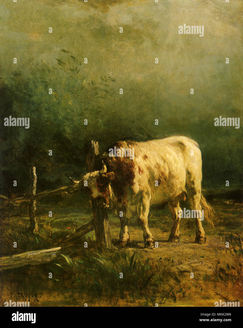 The Bull, Effect Storm Stock Photo - Alamy