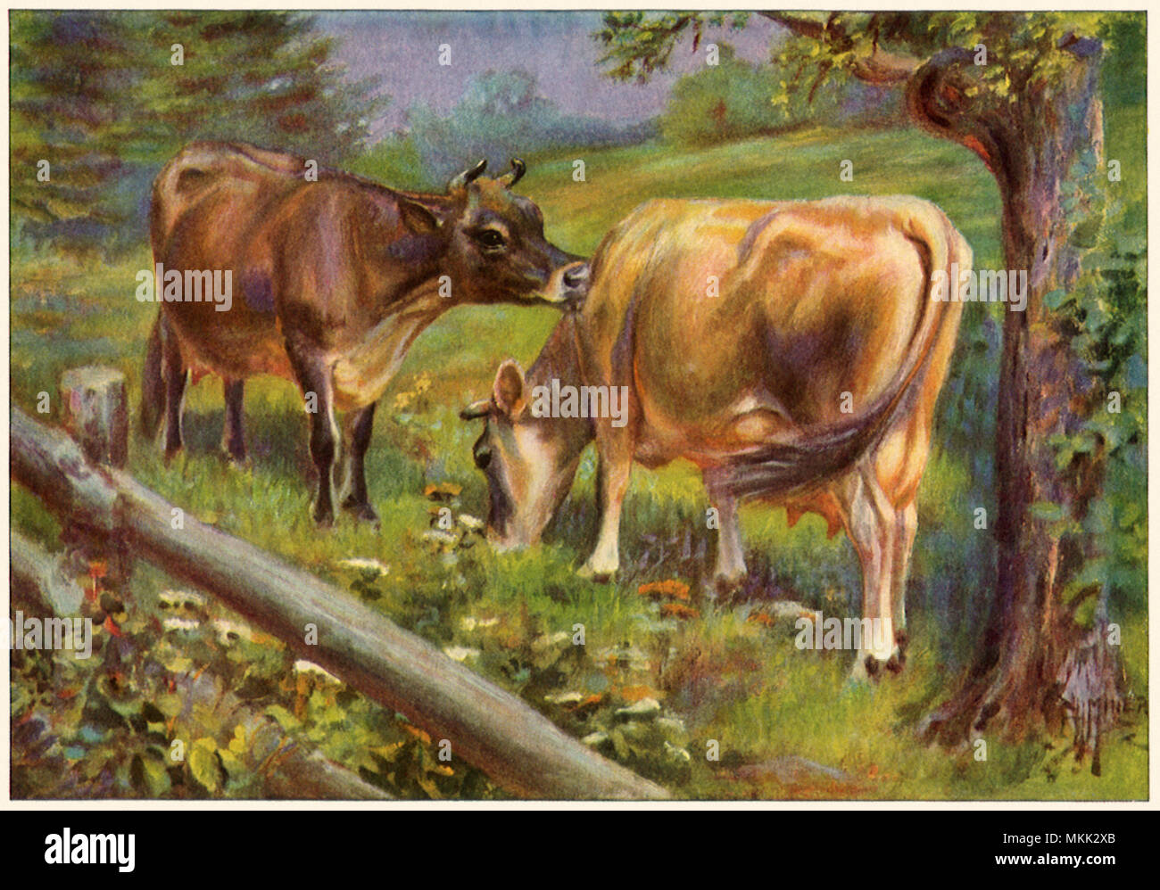 Nostalgia cows hi-res stock photography and images - Alamy