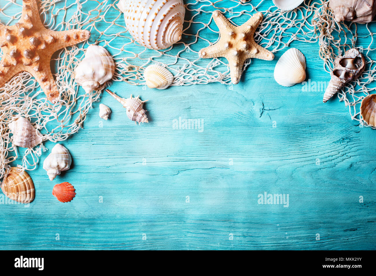Beach Shells Wallpaper