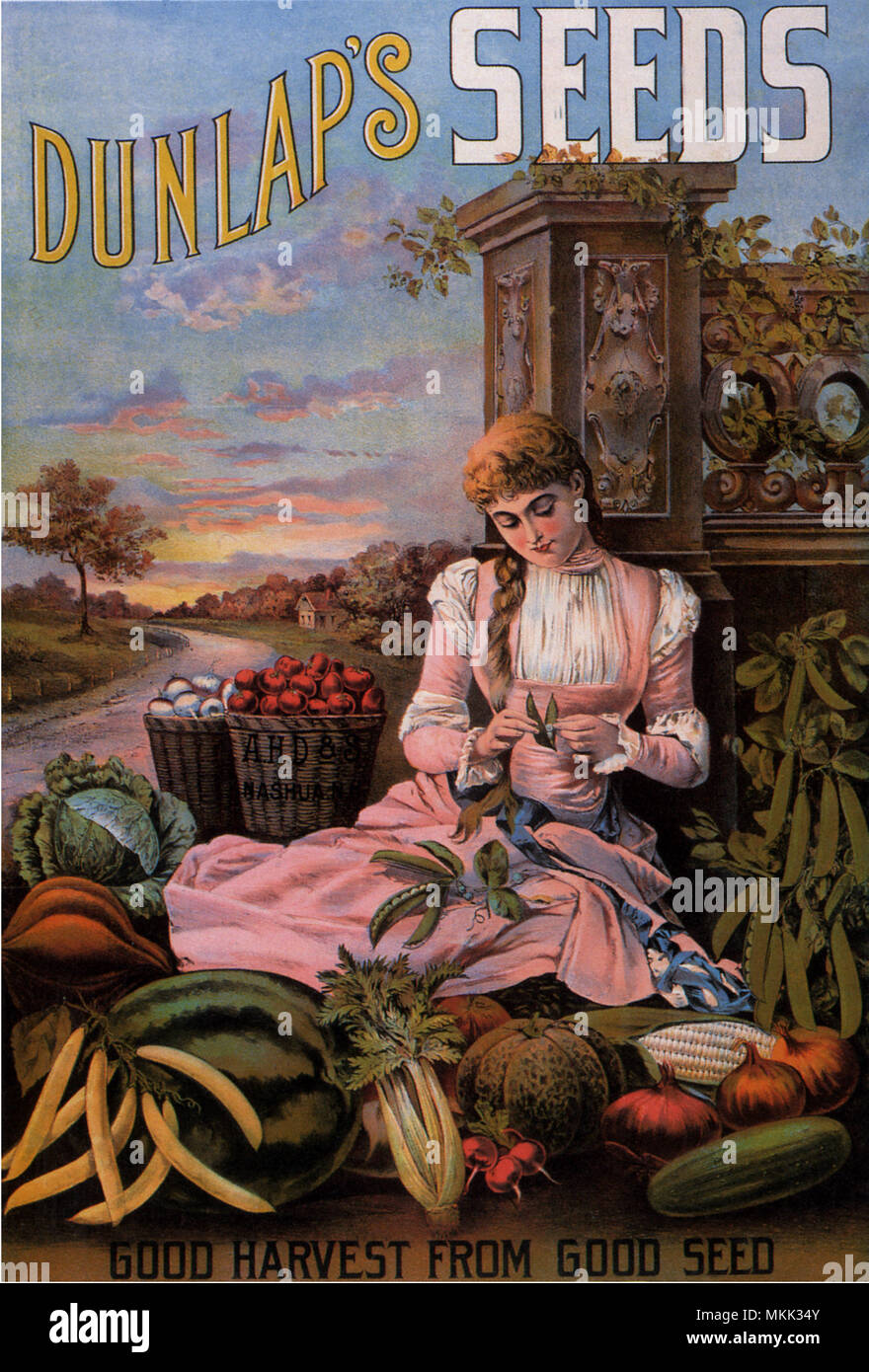 Pink seed pods hi-res stock photography and images - Alamy