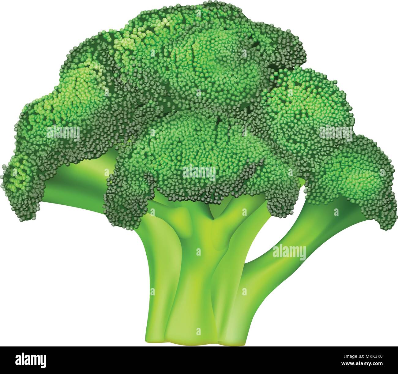 Vibrant green crop Stock Vector Images - Alamy