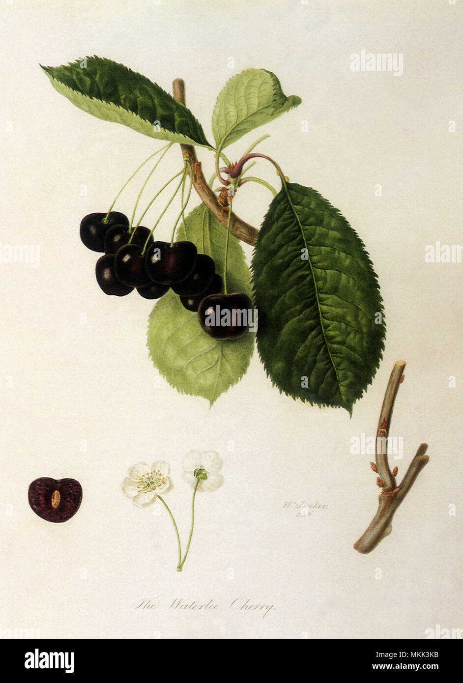 Waterloo hi-res stock photography and images - Alamy