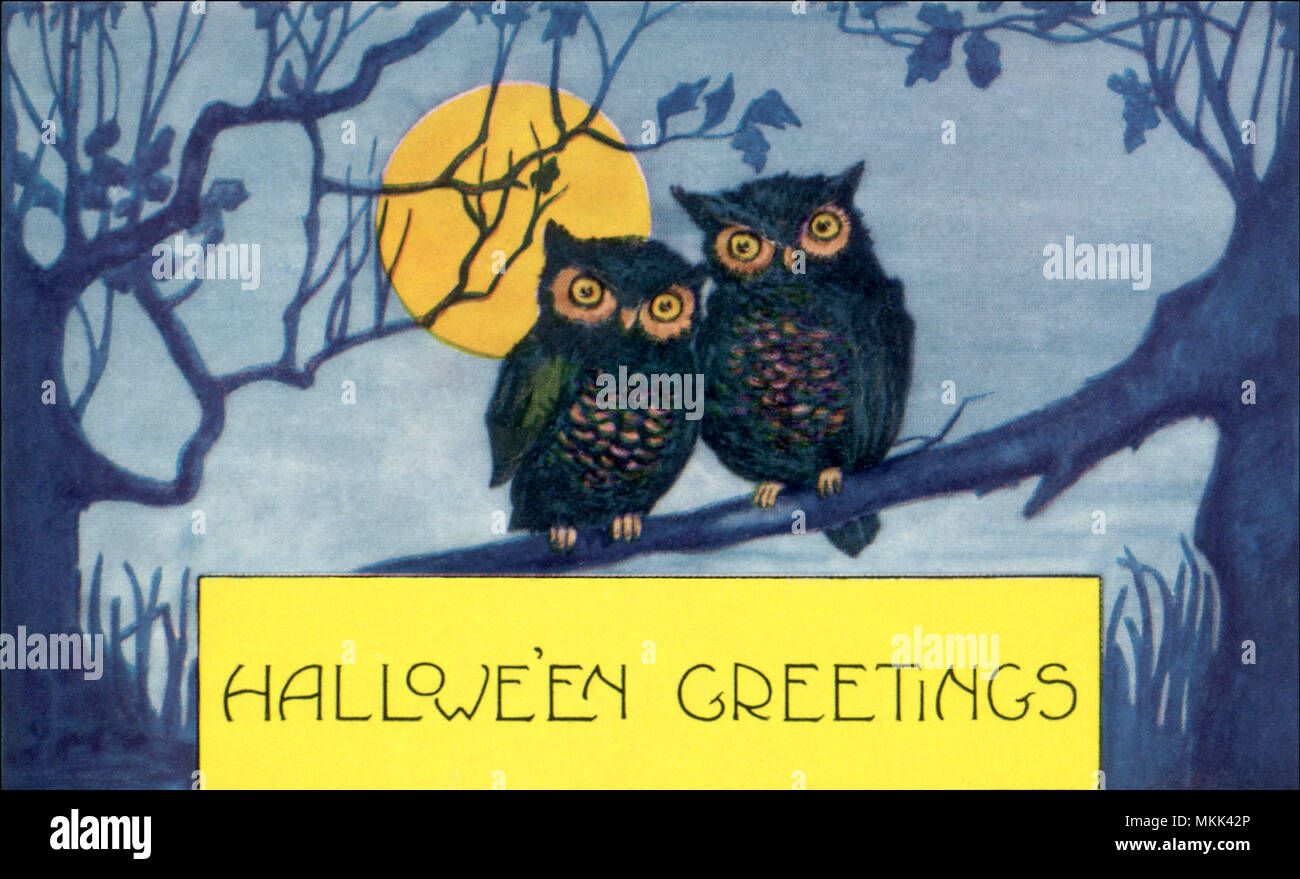 Owls in Moonlight Stock Photo - Alamy