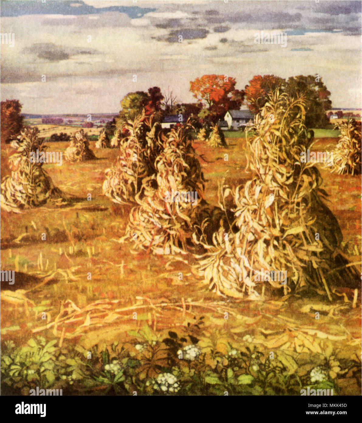 Barren corn field hi-res stock photography and images - Alamy