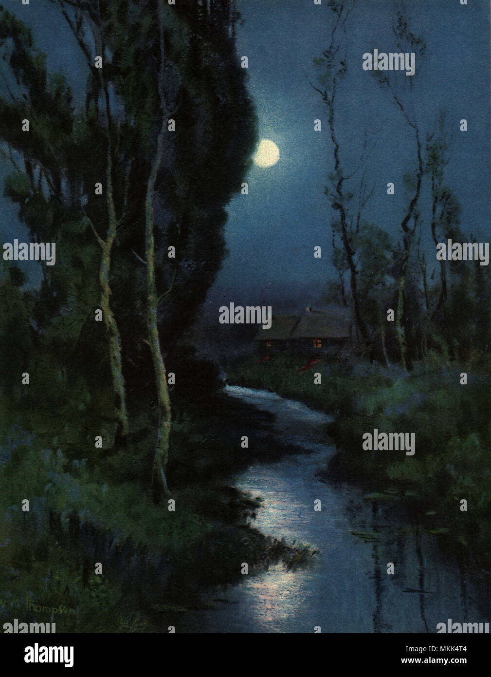 Moonlight trees hi-res stock photography and images - Alamy