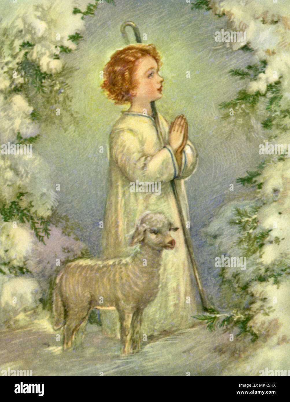 Praying sheep hi-res stock photography and images - Alamy