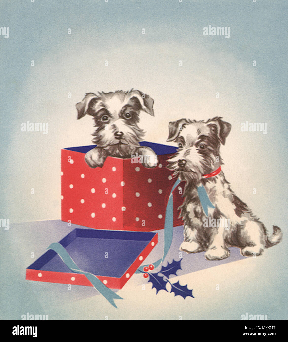 Dogs Open Present Stock Photo - Alamy