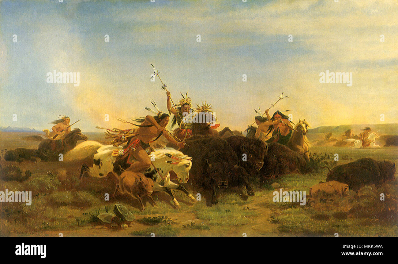 Art plains indians hunting buffalo hi-res stock photography and images ...