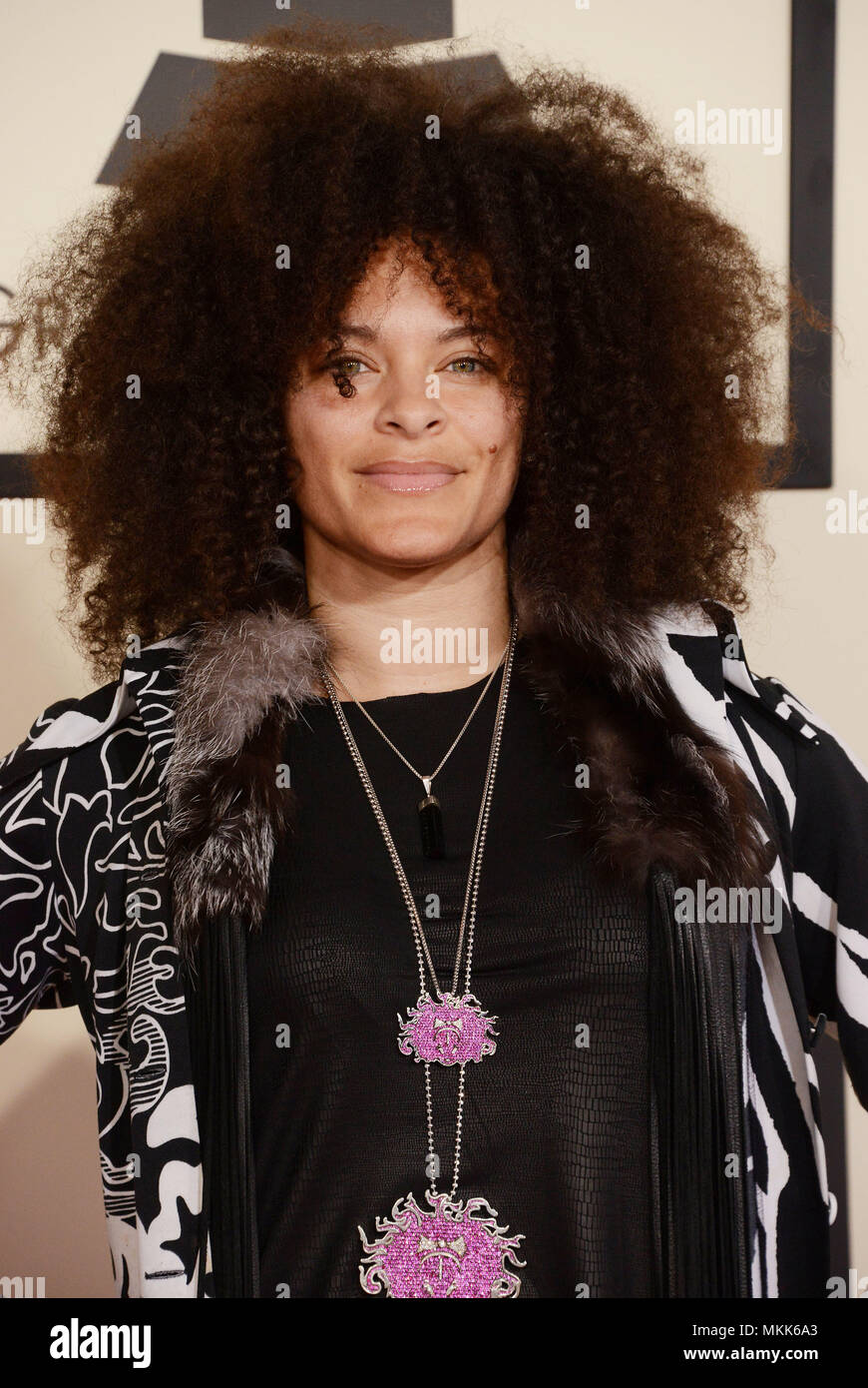 mali Hunter at the 57th Annual GRAMMY Awards at the Staples Center in ...