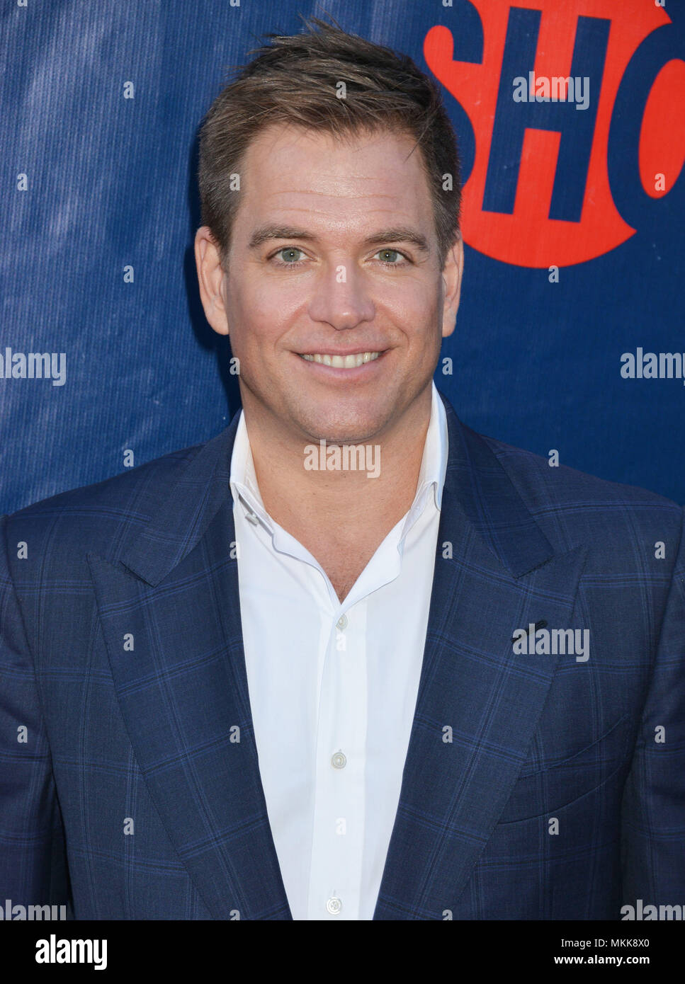 Michael Weatherly at the 2015 CBS tca at the Pacific Design Center in ...