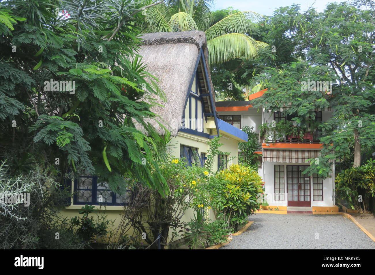 Interesting nature on Mauritius island, asphalt road, greenery Stock ...
