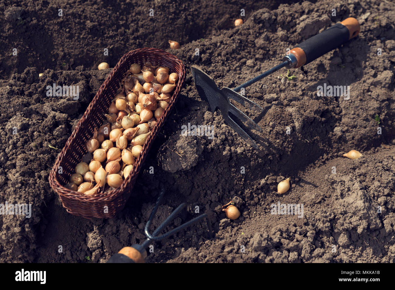 Early farming tools hi-res stock photography and images - Alamy