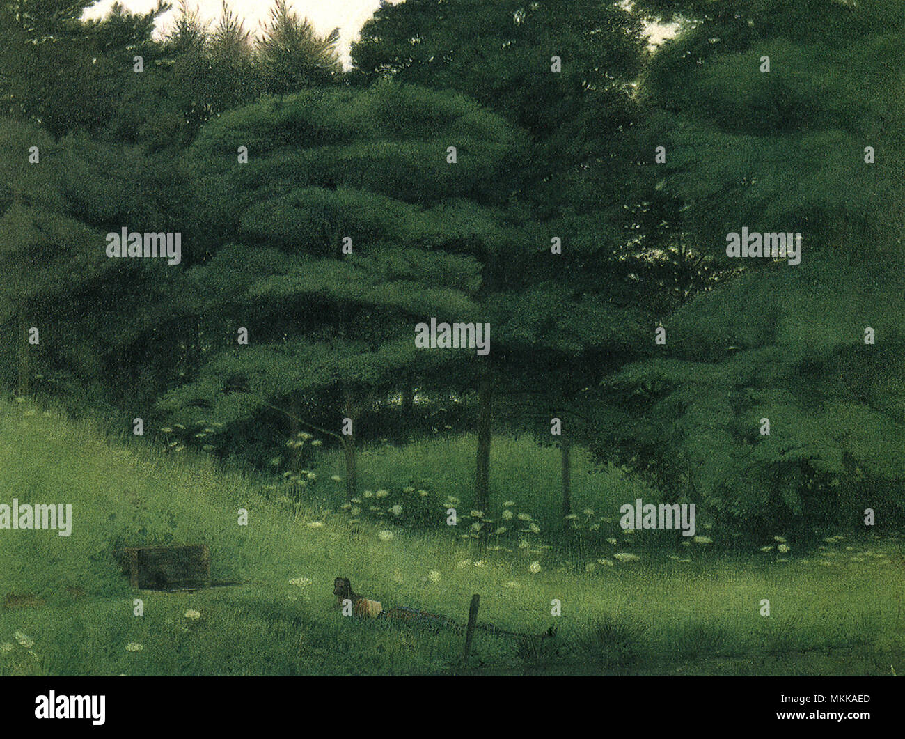 Dead knight hi-res stock photography and images - Alamy