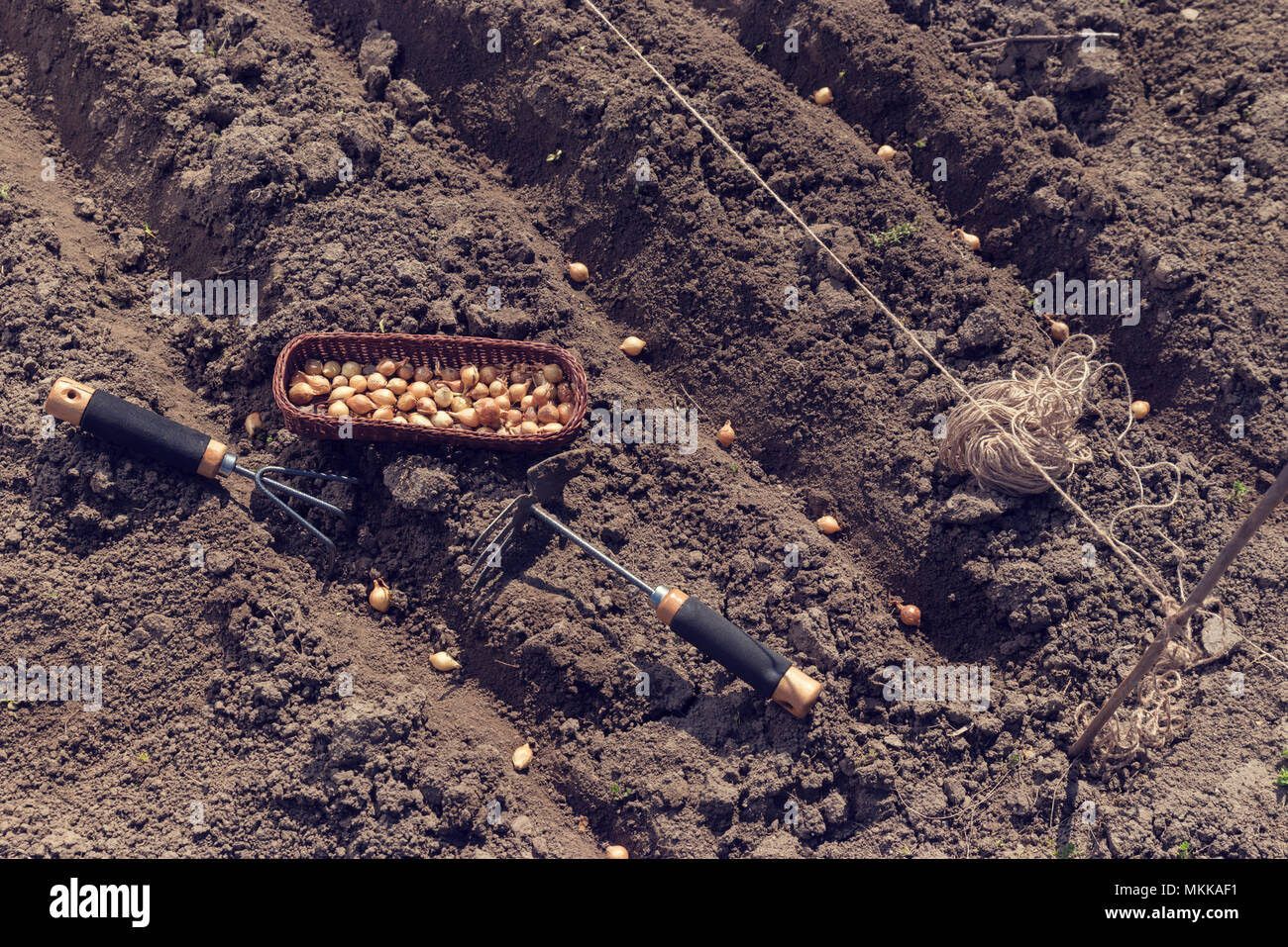 Furrow planting hi-res stock photography and images - Alamy