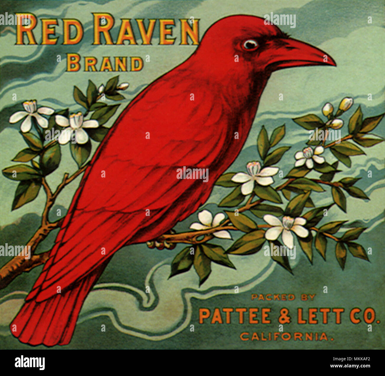 Red raven hi-res stock photography and images - Alamy