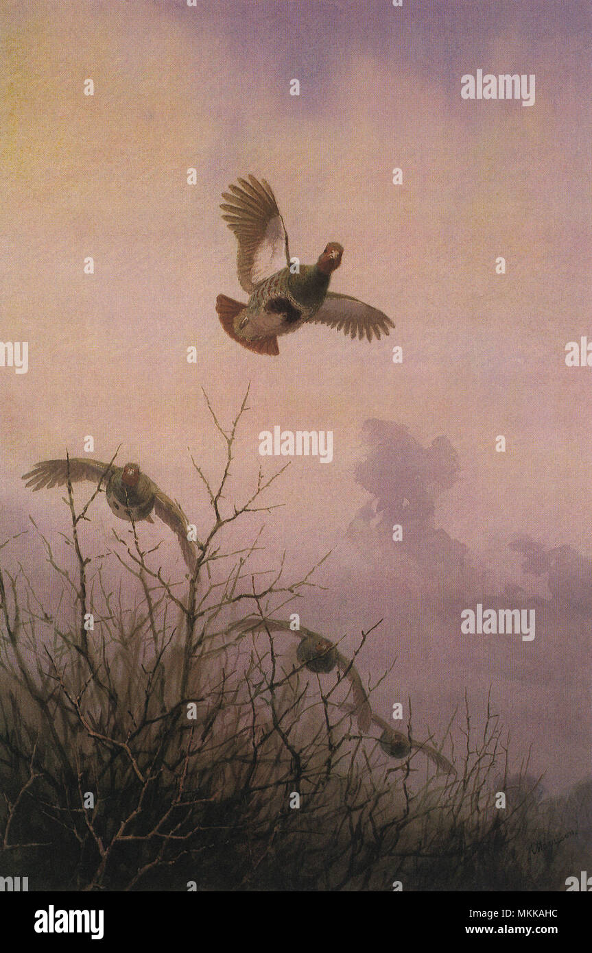 Flying beast hi-res stock photography and images - Alamy