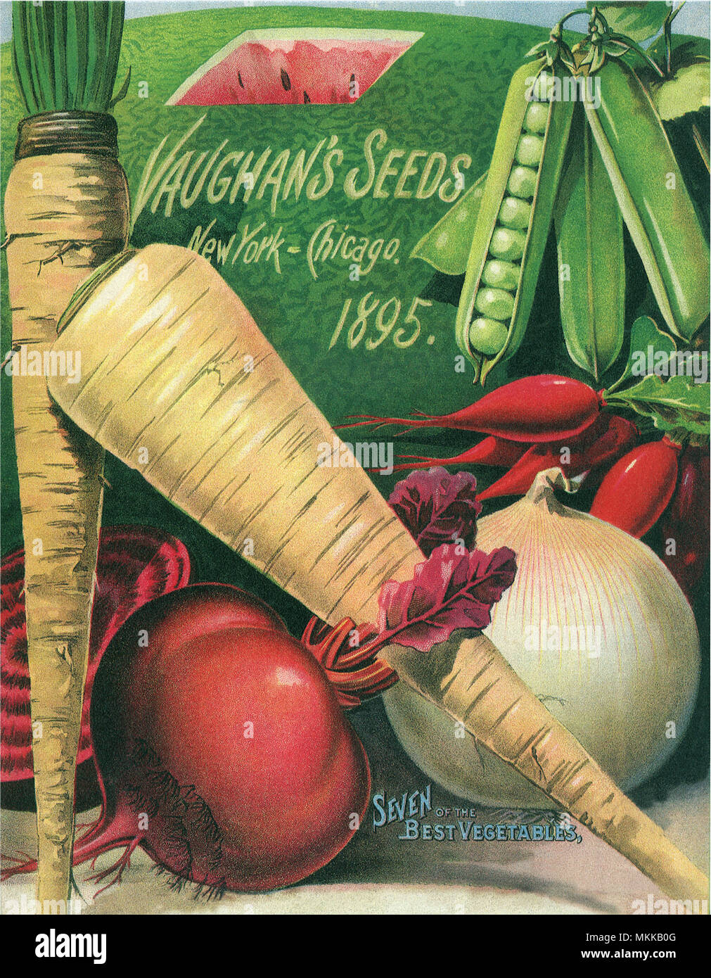 Vegetable Seed Packet Stock Photo - Alamy