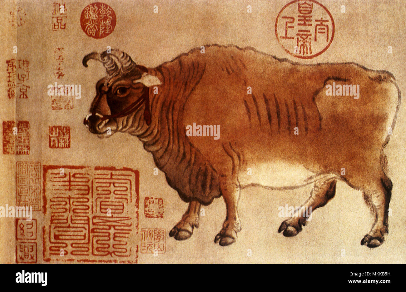 Buffalo with Asian Script Stock Photo - Alamy