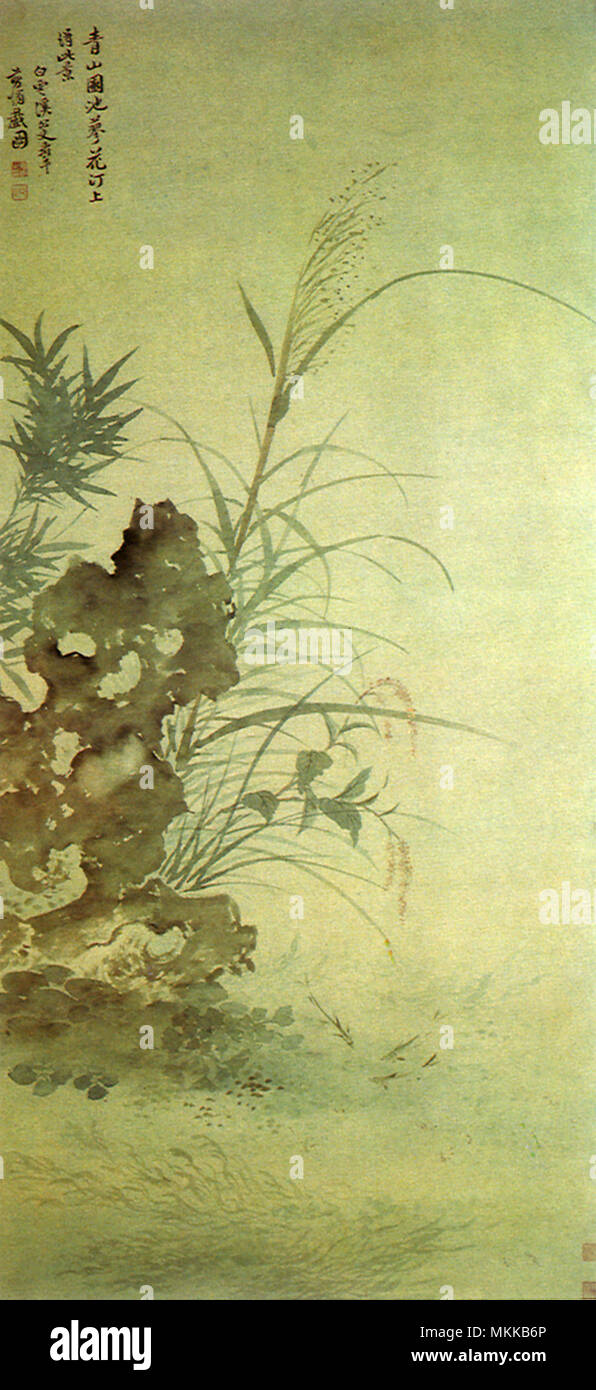 Fine algae hi-res stock photography and images - Alamy