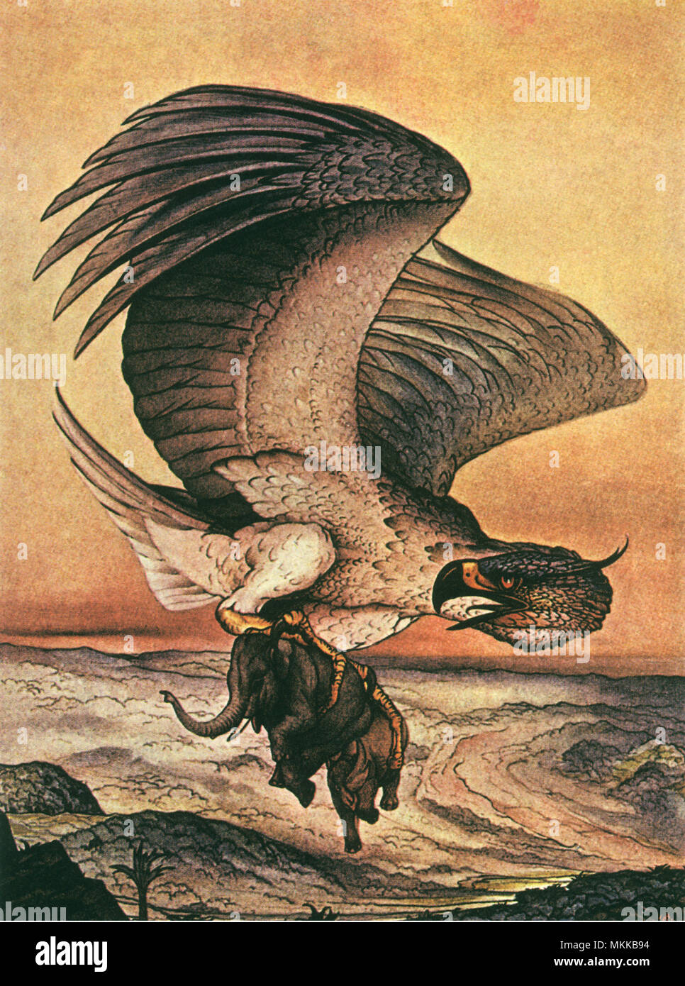 Huge Bird with Elephant Stock Photo - Alamy