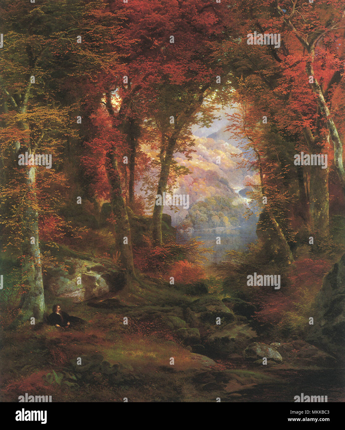 Man Under the Trees Stock Photo - Alamy