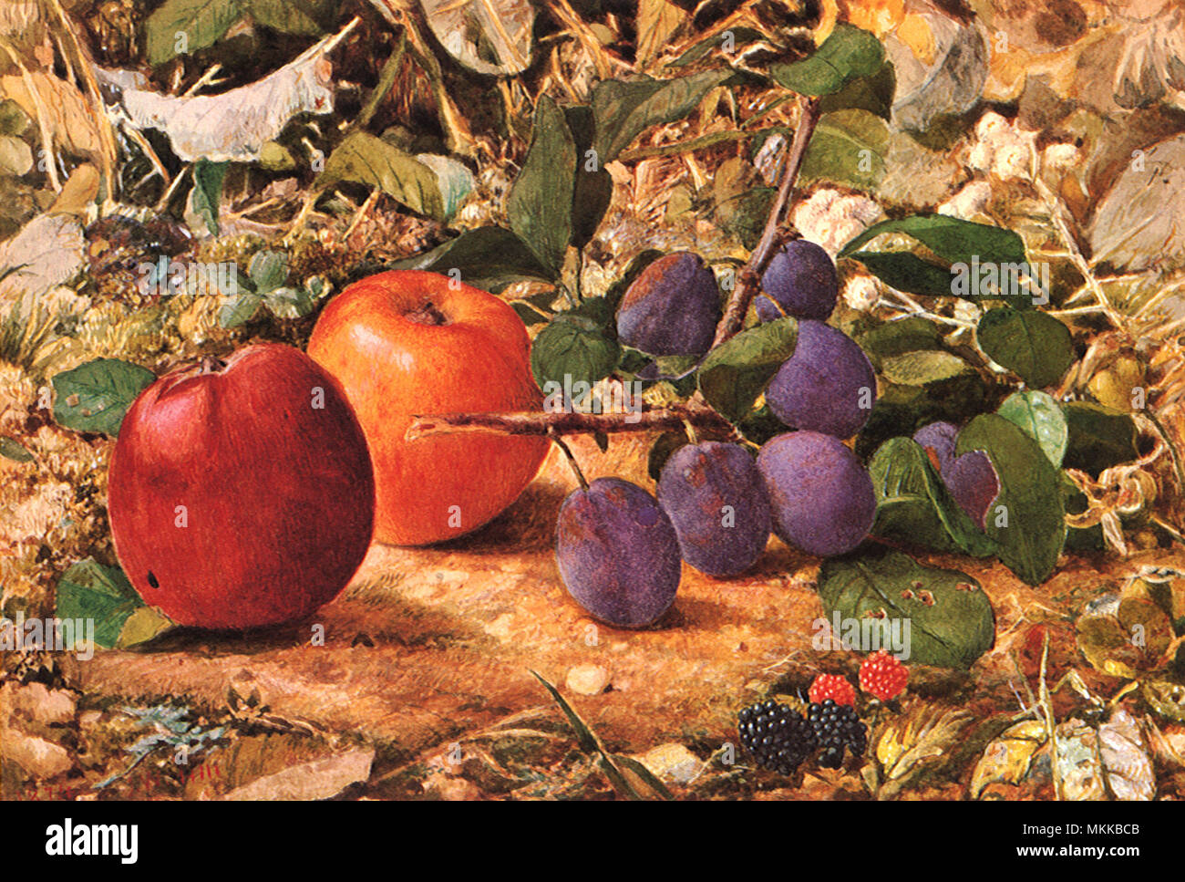 Apples, Plums, Berries Stock Photo - Alamy