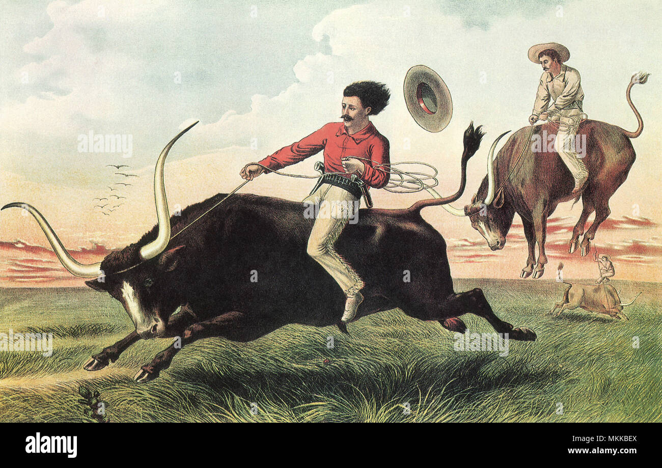 Cowboy longhorn hi-res stock photography and images - Alamy