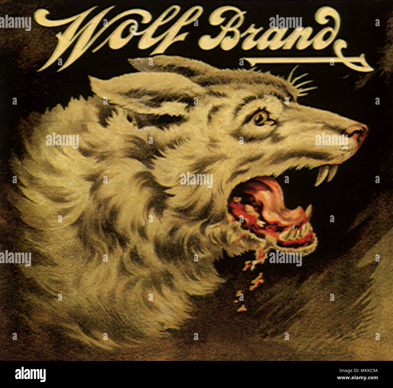 Bared fangs hi-res stock photography and images - Alamy