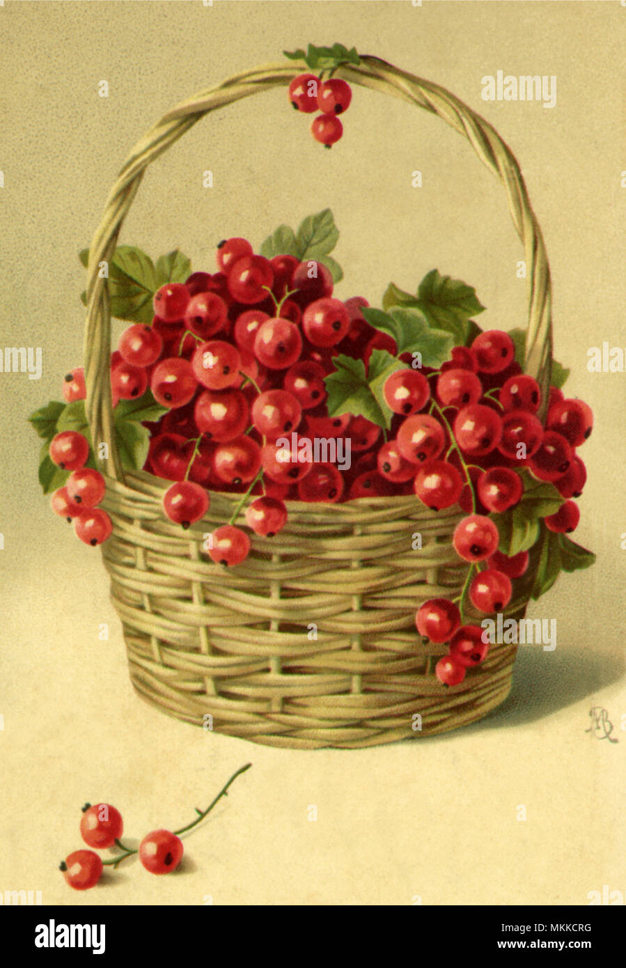 Berries illustration vintage hi-res stock photography and images - Alamy