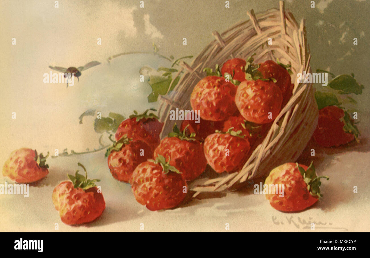 Vintage fruit illustration strawberries hi-res stock photography and ...