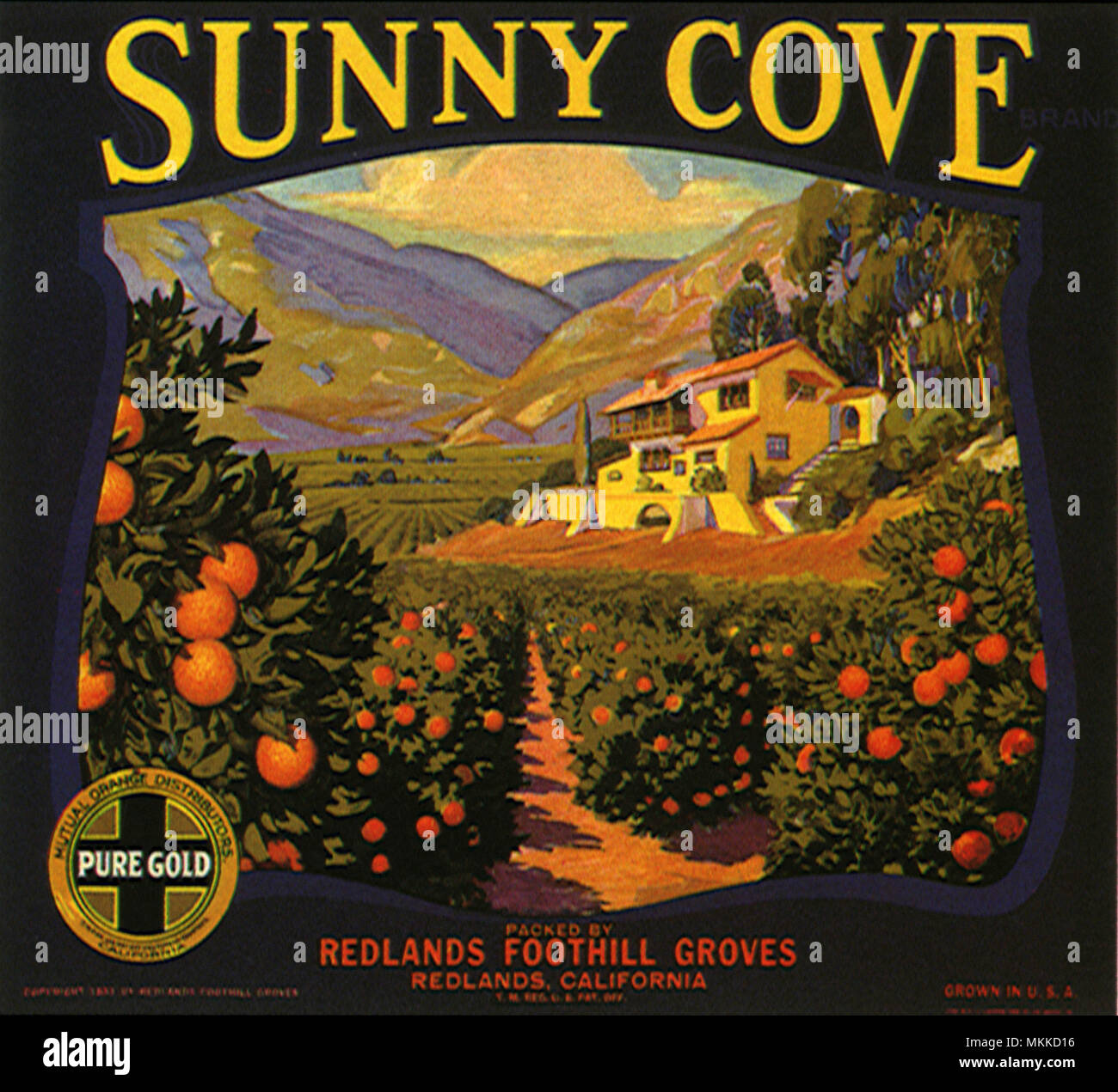 Classic grove hi-res stock photography and images - Alamy