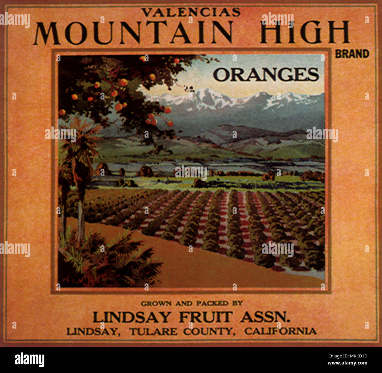 Classic groves hi-res stock photography and images - Alamy