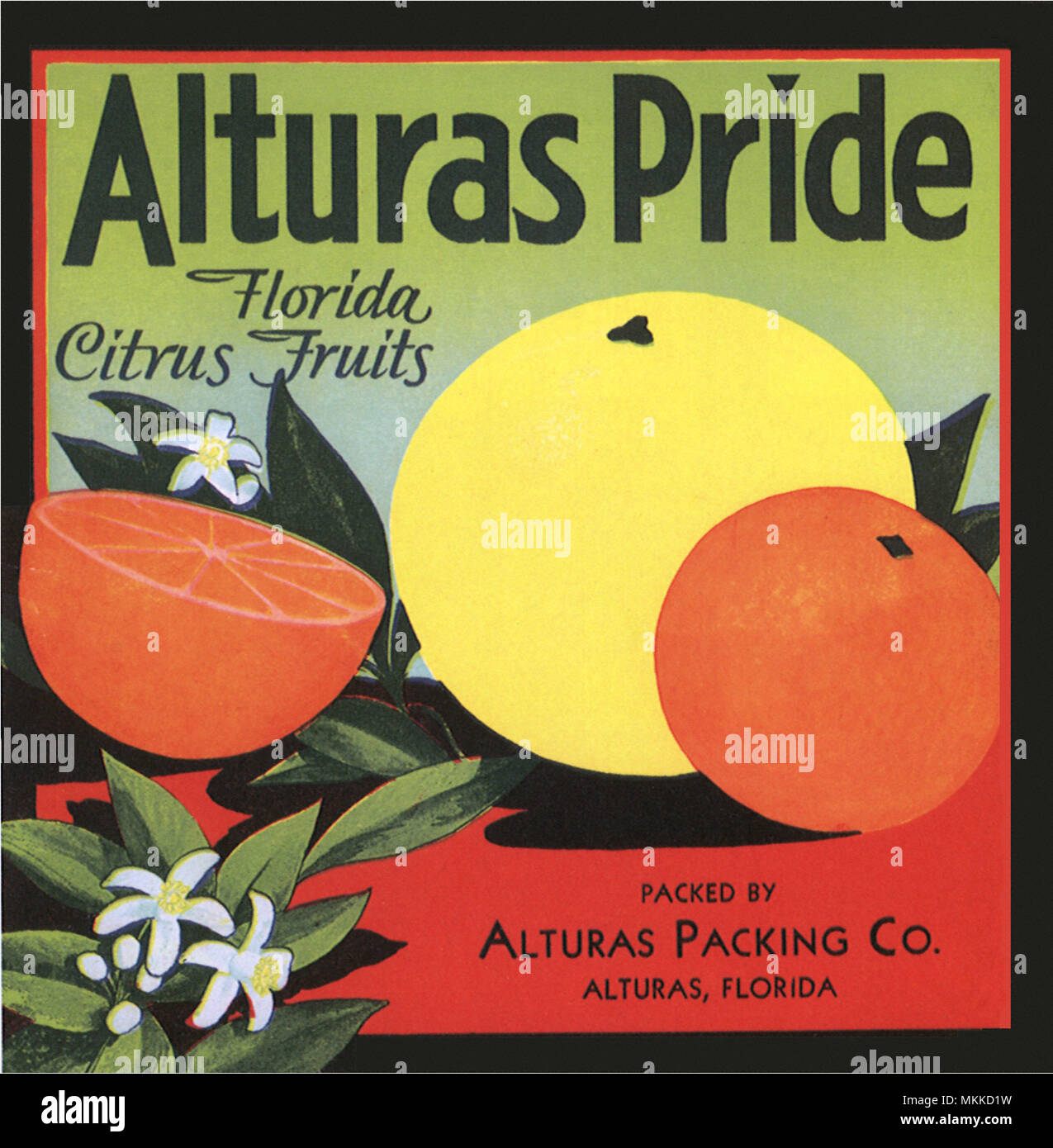 Vintage citrus label hi-res stock photography and images - Alamy