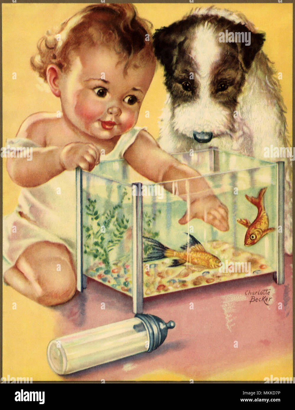 Family of fish illustration hi-res stock photography and images - Alamy