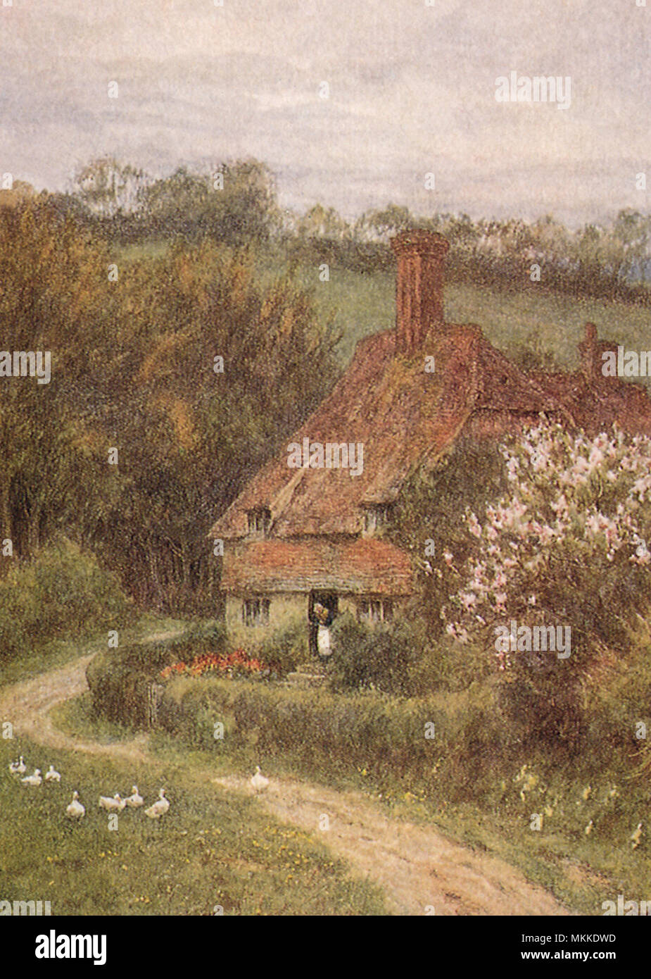 Classic country cottage hi-res stock photography and images - Alamy