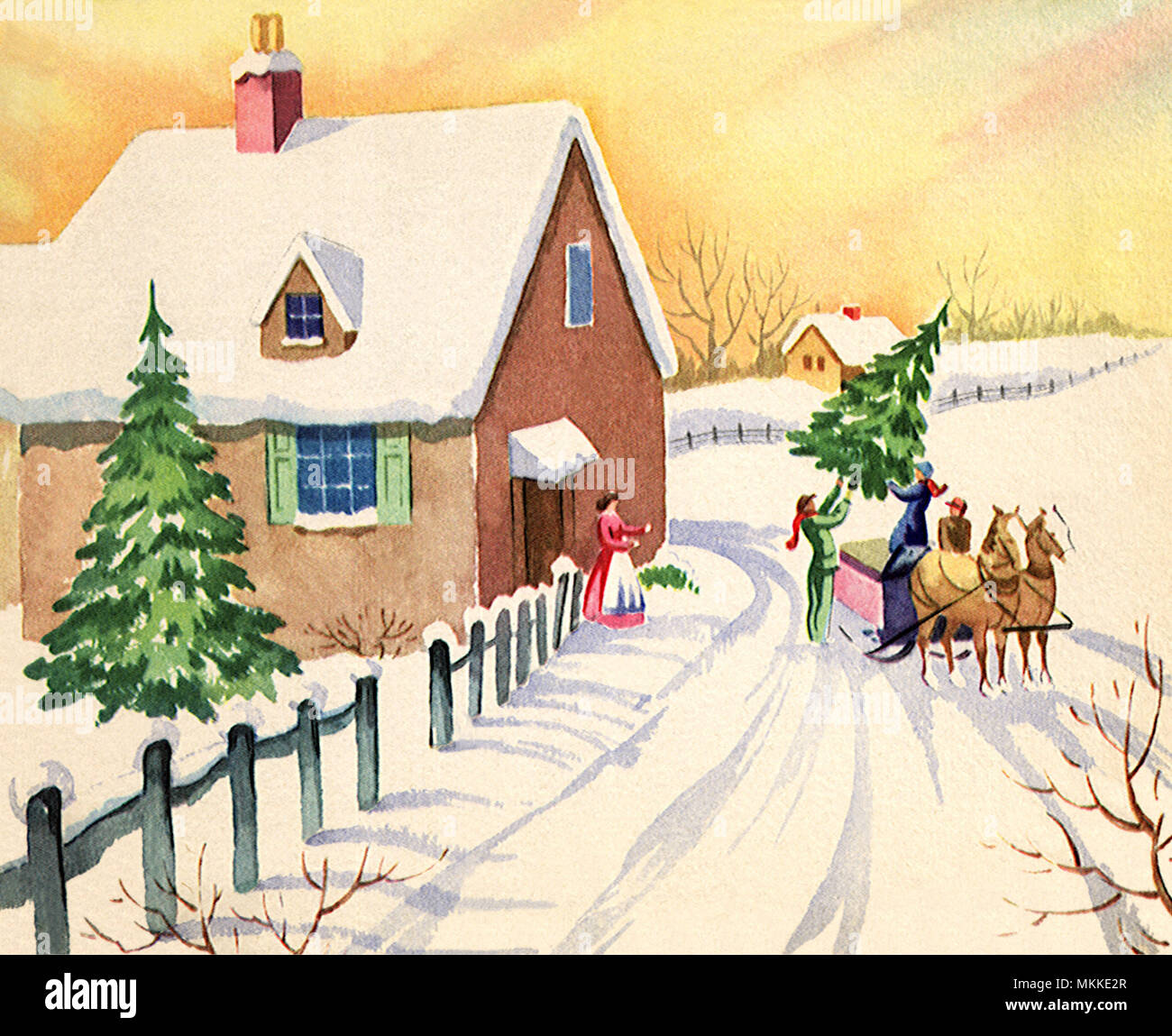 Bringing Tree Home Stock Photo - Alamy